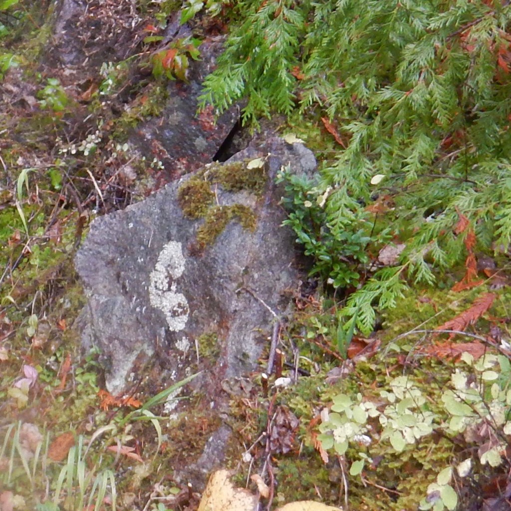 History – The Uplands at Procter Point